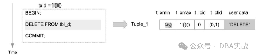 Postgresql核心揭秘三 元组结构postgres 元祖的概念 Csdn博客
