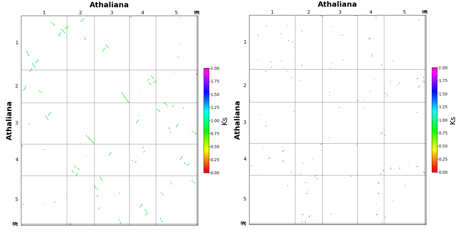 如何用WGDI进行共线性分析(下)-CSDN博客