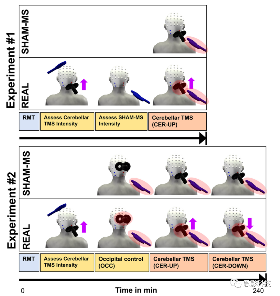 使用TMS-EEG评估小脑与大脑皮层的有效连接性_基于簇的排列测试-CSDN博客