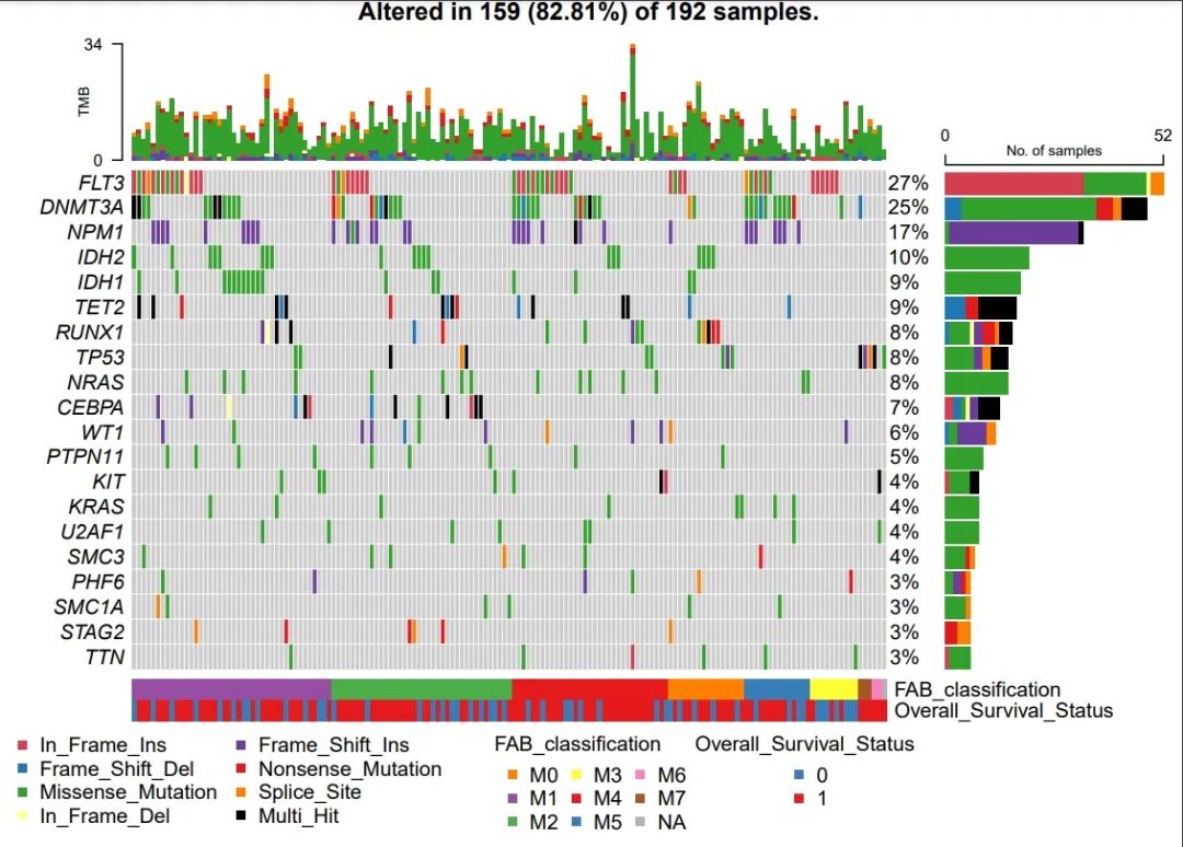 Galaxy生信云平台|Maftools高效地汇总、分析、注释和可视化肿瘤基因突变MAF文件...-CSDN博客