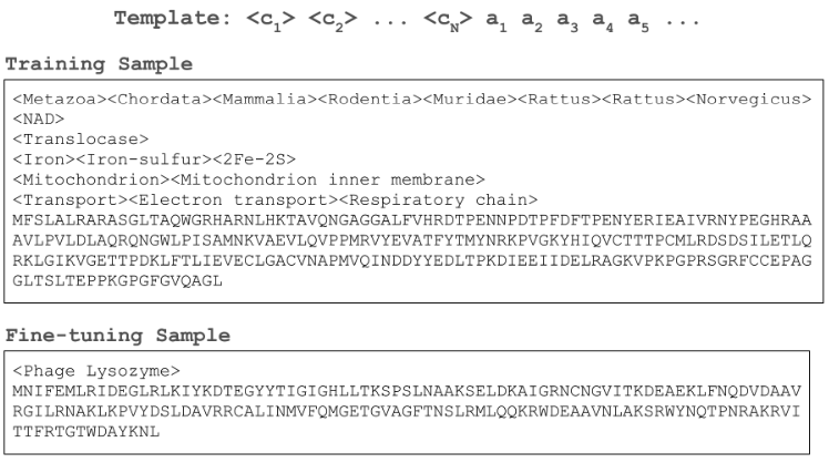 Paper简读 - ProGen: Language Modeling for Protein Generation-CSDN博客