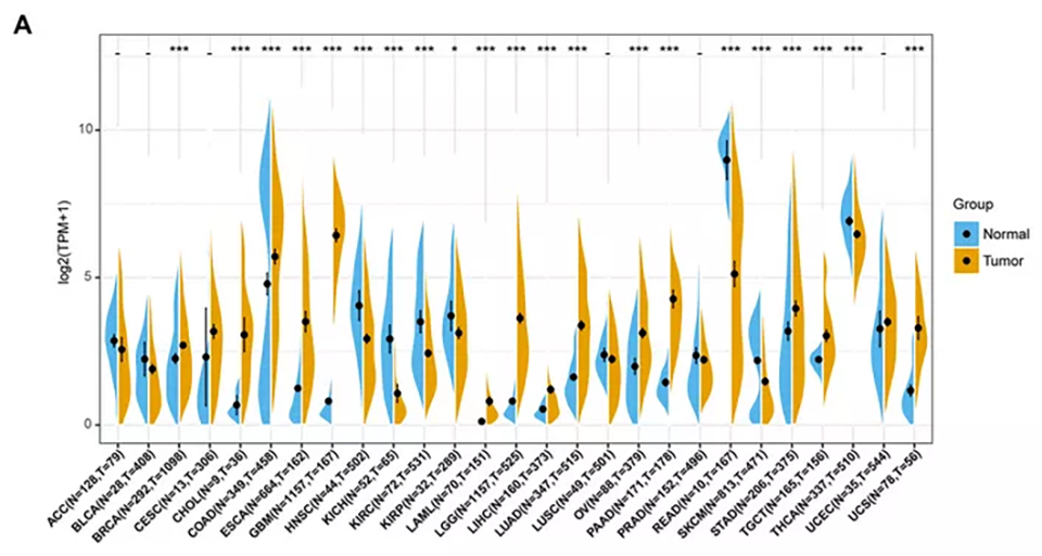 ggplot2实现分半小提琴图绘制基因表达谱和免疫得分-CSDN博客