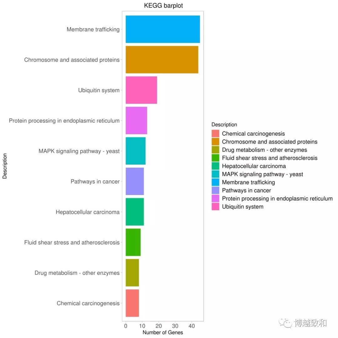 go kegg_GO和KEGG的绘图详解_和猫住的博客-CSDN博客