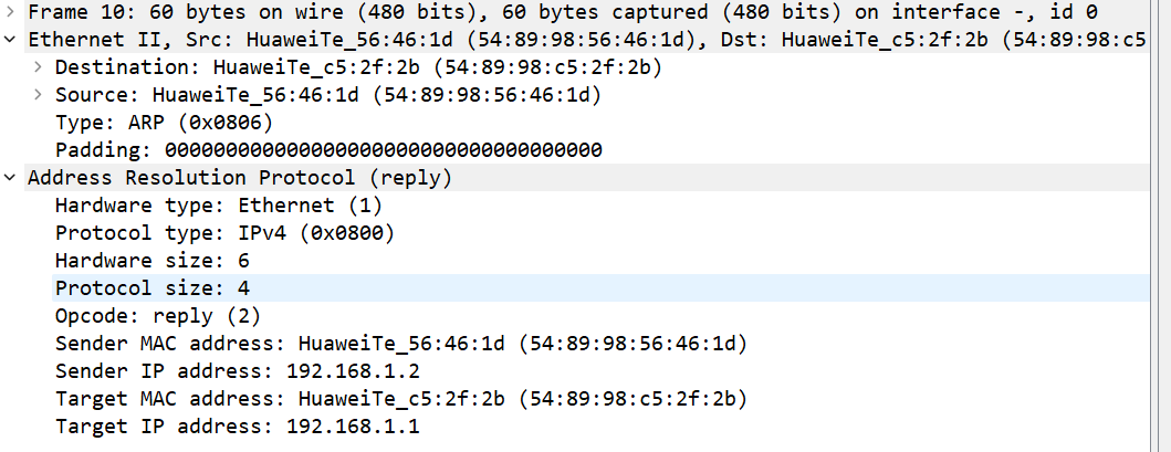2.抓包观察UDP报文_udp抓包-CSDN博客