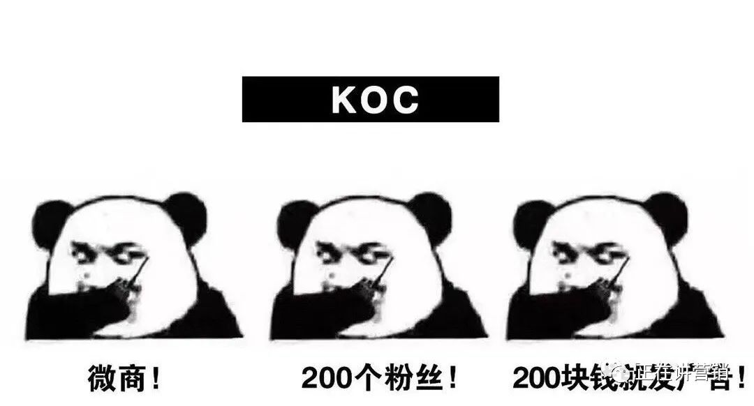 KOC？新媒体营销中的koc是什么意思？_什么是koc 型社交媒体-CSDN博客