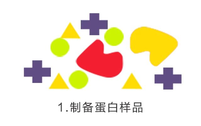 一文读懂CoIP实验：原理、实验流程、遇到的问题-CSDN博客