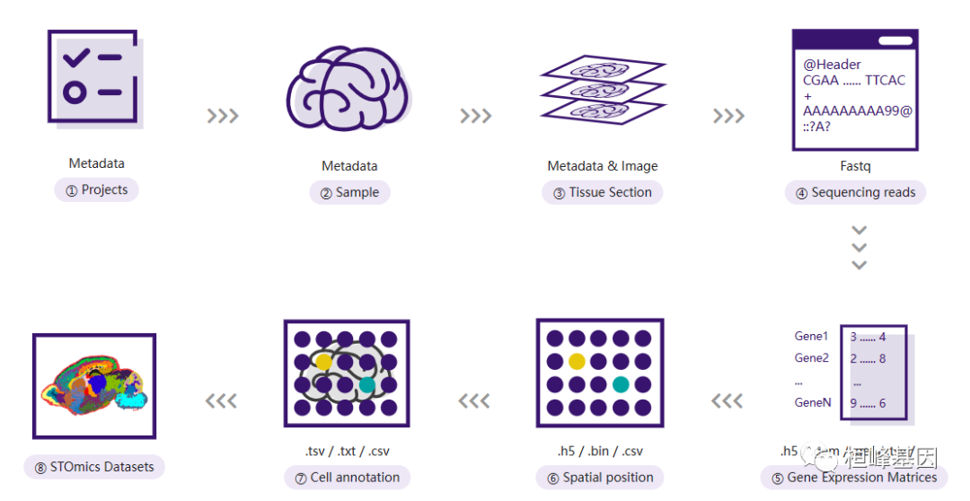 SCS【30】单细胞空间转录组学数据库(STOmics DB)-CSDN博客
