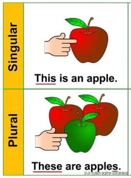 用法与区别_指示代词this, that, these, those的区别和用法-CSDN博客