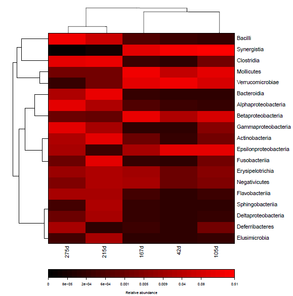 OTU分析和作图_春日部来的的博客-CSDN博客_otu分析