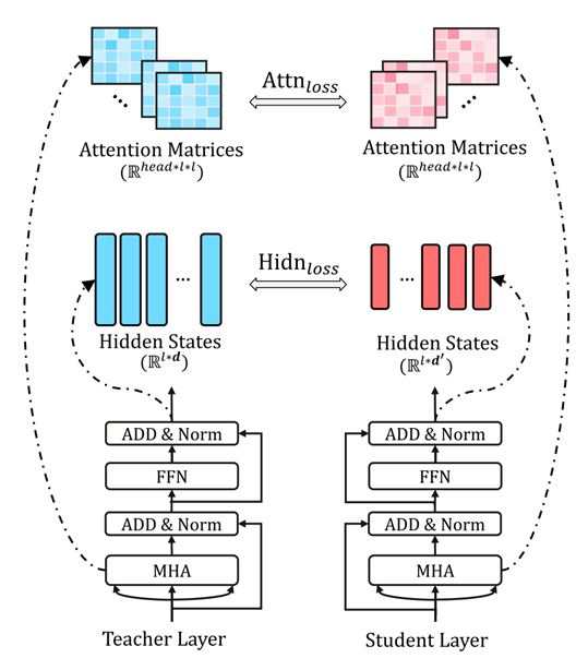 Fast and Effective！一文速览轻量化Transformer各领域研究进展-CSDN博客