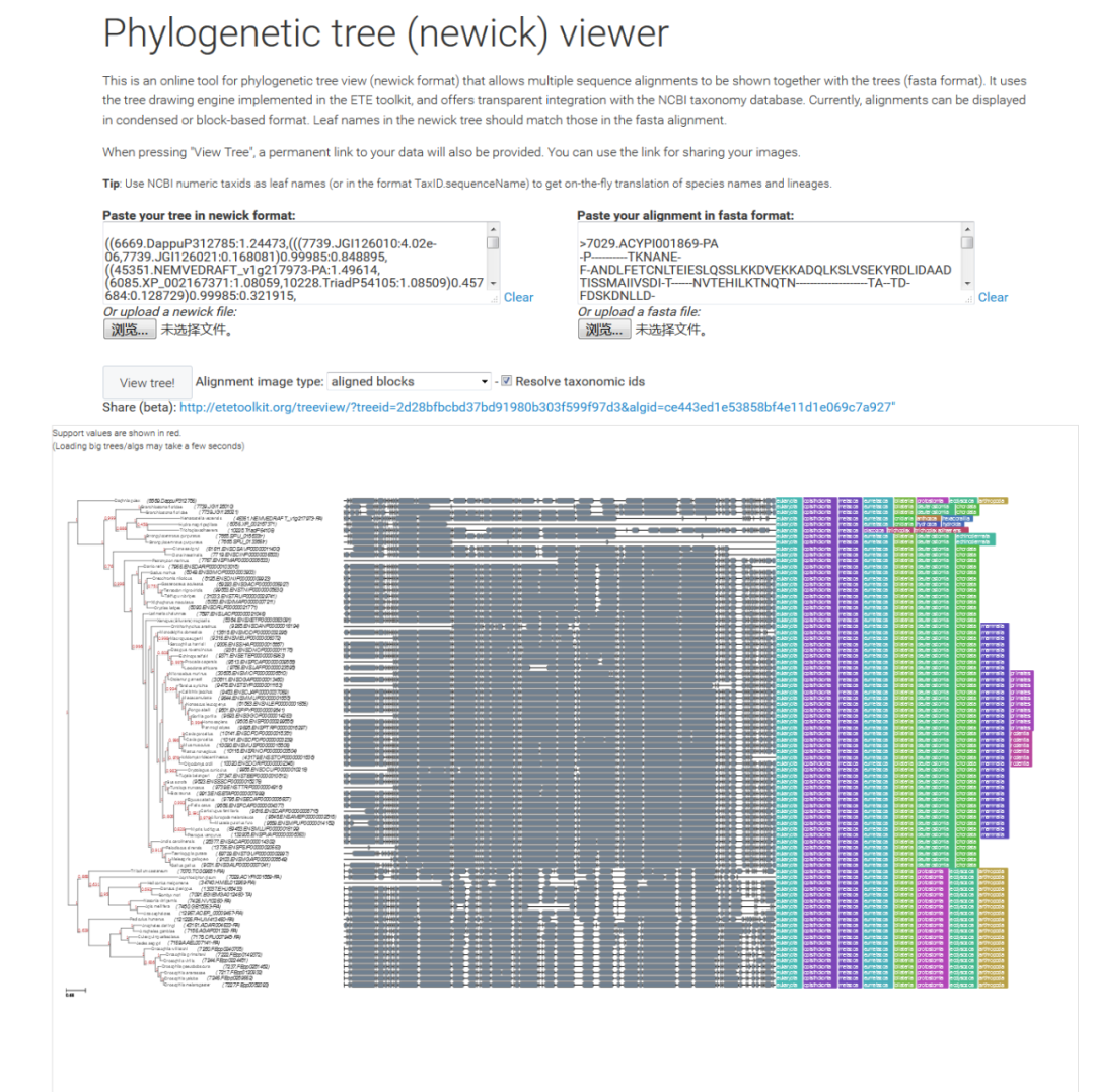 ETE - 在线可视化进化树和多序列比对-CSDN博客