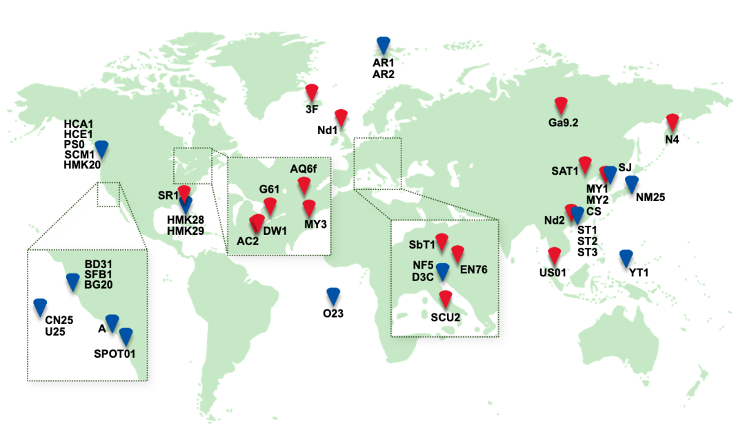 ISME：海洋氨氧化古菌的营养能量策略决定其生物地理学分布格局-CSDN博客