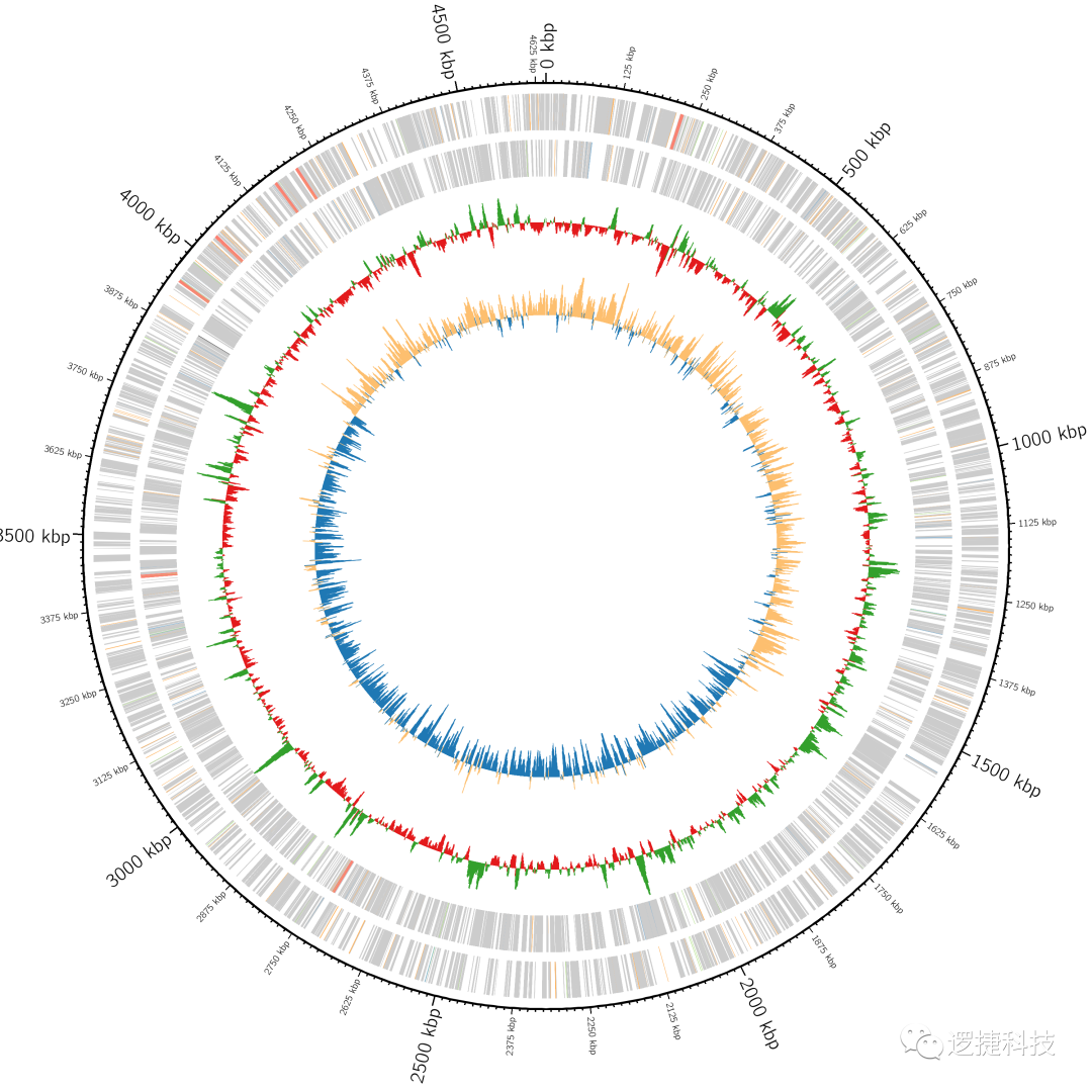 忘记Prokka, 使用 Bakta 对细菌基因组注释生成圈图-CSDN博客