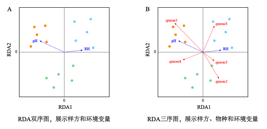 canoco5冗余分析步骤_群落分析的冗余分析（RDA）概述_weixin_39605463的博客-CSDN博客