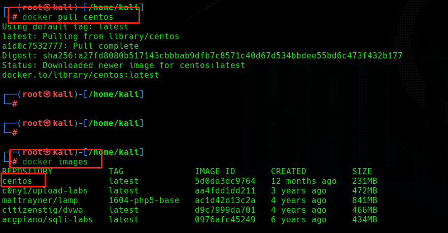 Docker基础操作_docker pgp key-CSDN博客