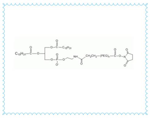 DPPE PEG NHS ester，L-磷脂酰乙醇胺PEGN-羟基琥珀酰亚胺，具有亲水性又具有疏水性的磷脂-PEG偶联物_磷脂酰乙醇胺为什么 ...
