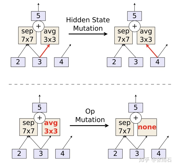 sgp4模型具体算法_炼丹术的终结 —— 进化算法搜索网络结构-CSDN博客