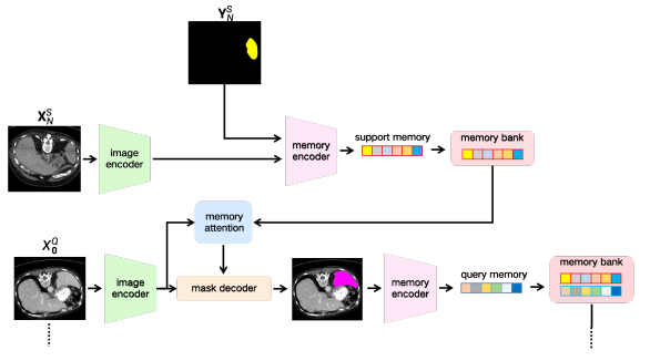 FS-MedSAM2：探索SAM2在无需微调条件下的小样本医疗图像分割潜力-CSDN博客