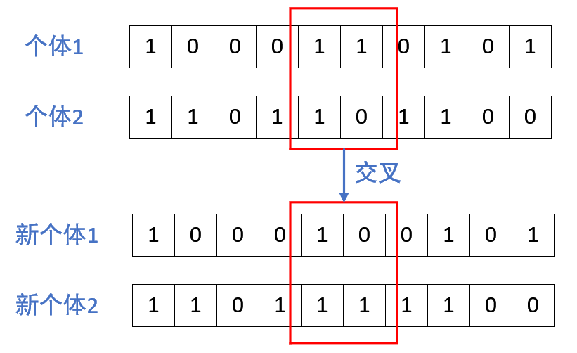 遗传算法入门（一）编码遗传算法编码 Csdn博客 