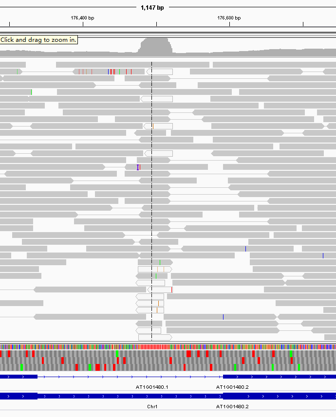 SAMtools: SAM格式的处理利器-CSDN博客