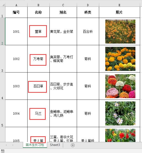 Java Excel导出图片excel Vba—批量导出图片并重命名 Csdn博客
