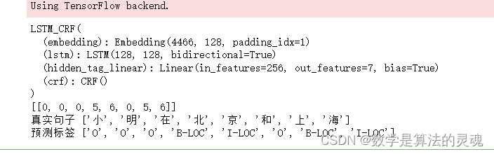 基于 Lstmcrf Lstmcrf的命名实体识别 完整代码数据bert掩码 Csdn博客