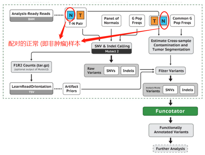 Mutect2 案例 / 有或没有正常样本配对的肿瘤体细胞变异检测结果对比-CSDN博客