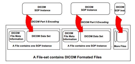 SCP、DICOM、HL7aECG、GDF格式及对比_三维数据scp格式参数 介绍-CSDN博客