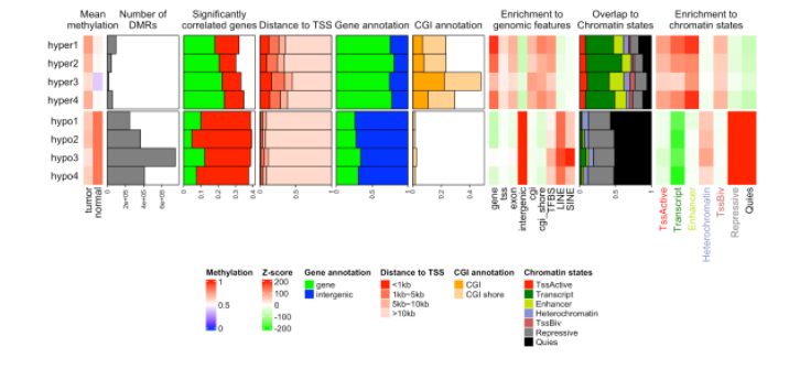 超详细的R语言热图之complexheatmap系列（6）_r complexheatmap单元格显示值-CSDN博客