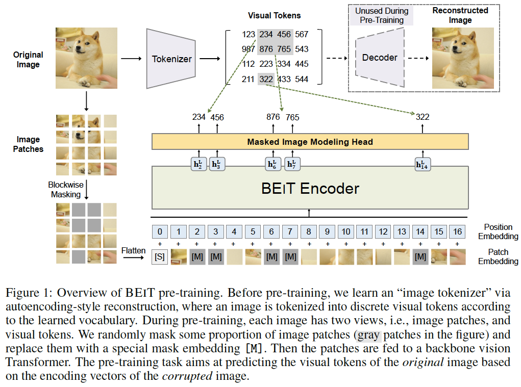 BEiT：图像Transformer的BERT式预训练_beit transformer-CSDN博客