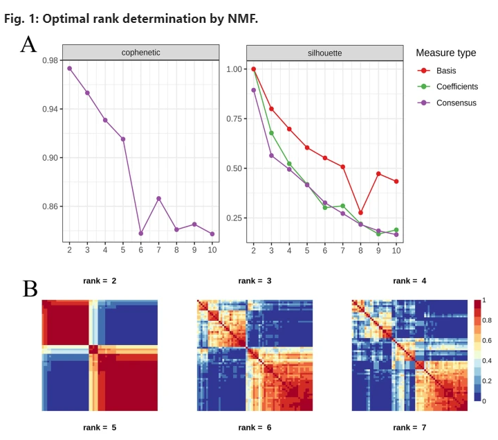 非负矩阵分解(NMF)的几个相关运用-CSDN博客