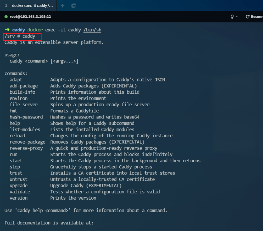 Caddy超越Nginx，下一代Web服务器？_caddy nginx-CSDN博客