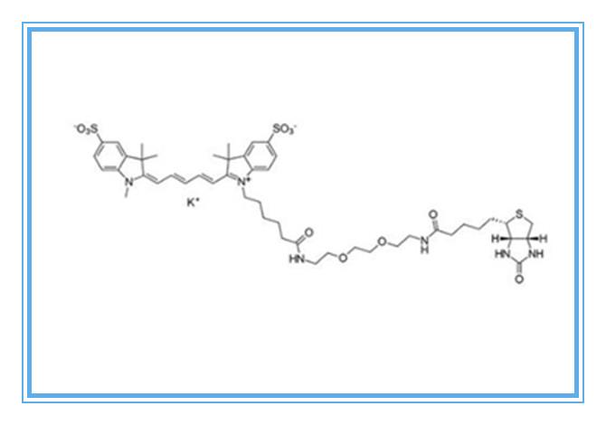 sulfo Cyanine5 PEG3 biotin，磺酸基Cy5三聚乙二醇生物素，水溶性试剂-CSDN博客