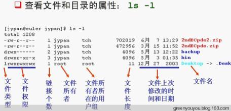 linux ls l 指定目录,linux 里查看文件和目录的属性ls -l-CSDN博客