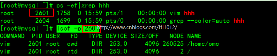 Linux lsof命令详解-CSDN博客