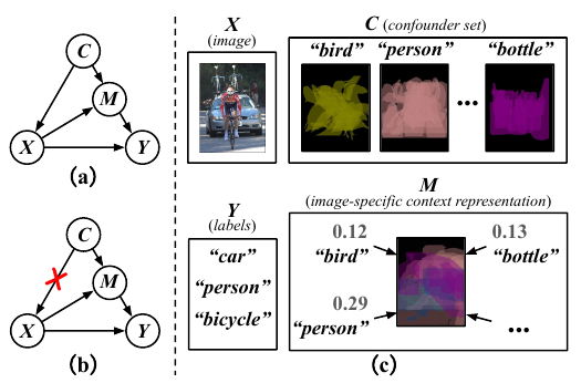 Causal Intervention for Weakly-Supervised Semantic Segmentation-CSDN博客