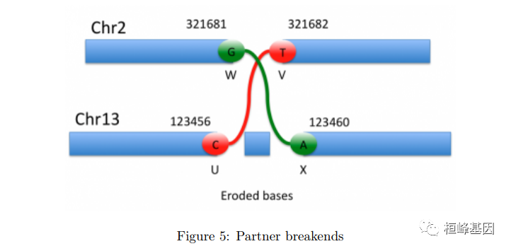 DNA 5. 基因组变异文件VCF格式详解_vcf文件示例-CSDN博客