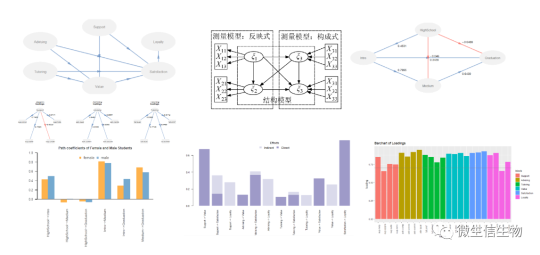 权重矩阵最小路径_微生信生物带你学235页的PLSPM官方教程（偏最小二乘路径分析PLS Path Modeling）..._苗苗小姐的博客-CSDN博客