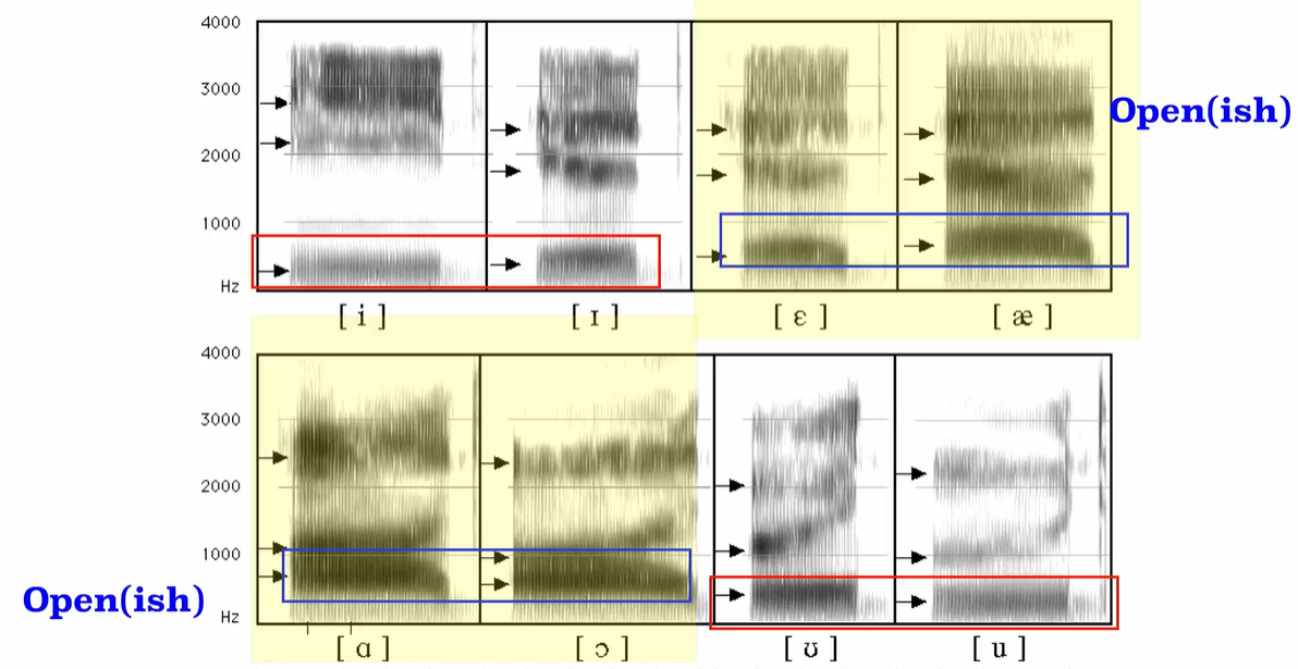【课程】SP Module2 辅音和元音的声学_voice onset time-CSDN博客