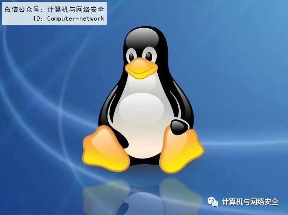 linux服务器_Linux | 搭建Web服务器-CSDN博客