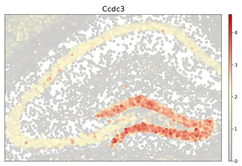 10X空间转录组Visium && HD && Xenium分析全更新_10x visium和hd的区别-CSDN博客