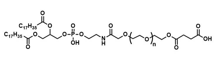 DSPE-PEG-SA，具有良好的水溶性和生物相容性，DSPE-PEG-Succinic Acid-CSDN博客