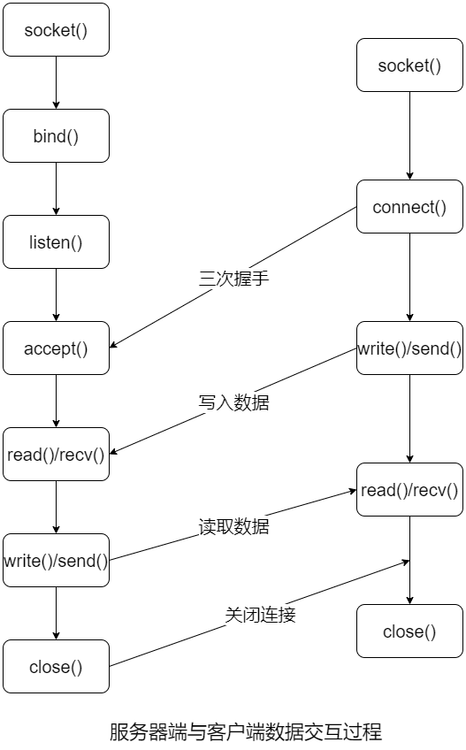 Linux 8 网络编程_socket头文件-CSDN博客