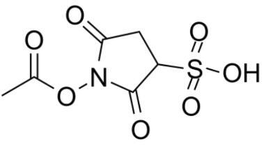 Sulfo-NHS-Acetate，152305-87-8，1-乙酰氧基-2,5-二氧代吡 咯烷-3-磺酸，蛋白质交联剂是一类小分子化合物 ...