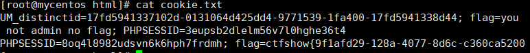 kali之beef使用以及ctf.show的XSS(web316-web333)_kali ctf-CSDN博客