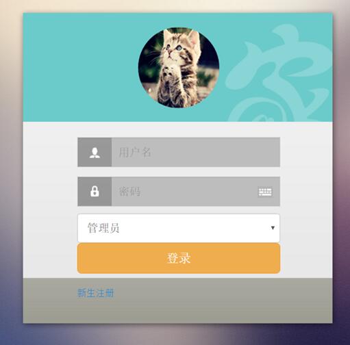 基于web的新生报到管理系统毕业设计课程设计基于web的新生报到管理系统的设计与实现源代码模板 Csdn博客