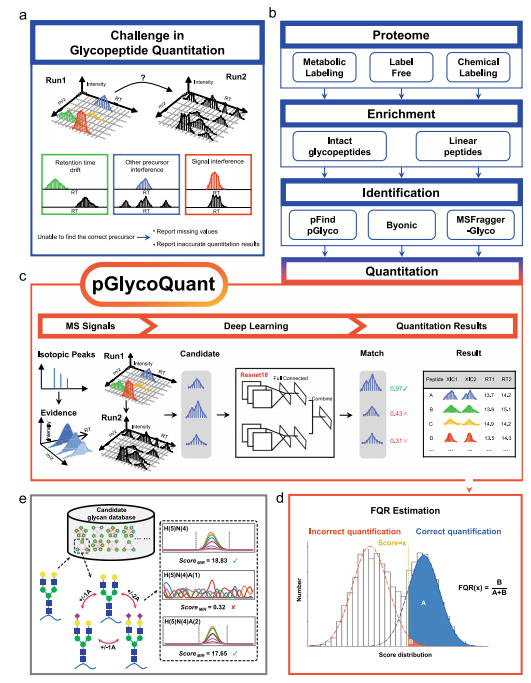 学术速运|pGlycoQuant：一个深度残余神经网络用于完整的糖肽水平上的定量糖蛋白质组学_pglyco介绍-CSDN博客