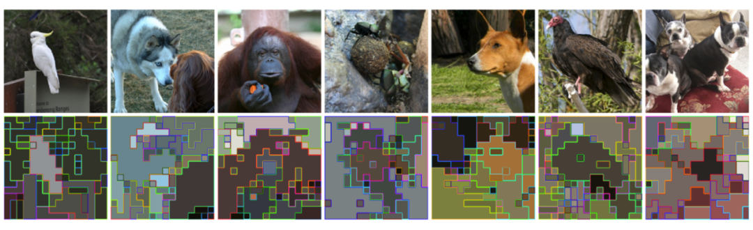 ICLR 2023 Oral | ToMe：无需训练的Token融合模型加速算法-CSDN博客