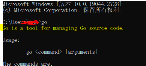 Windows系统下在VS Code中配置GO开发环境_windows vs go-CSDN博客